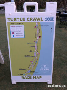 for the turtles: jekyll island turtle crawl 10k | Runs With Pugs