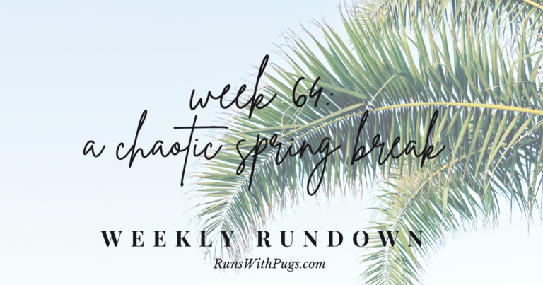 Runs With Pugs - ok, the pugs don't run, but we do