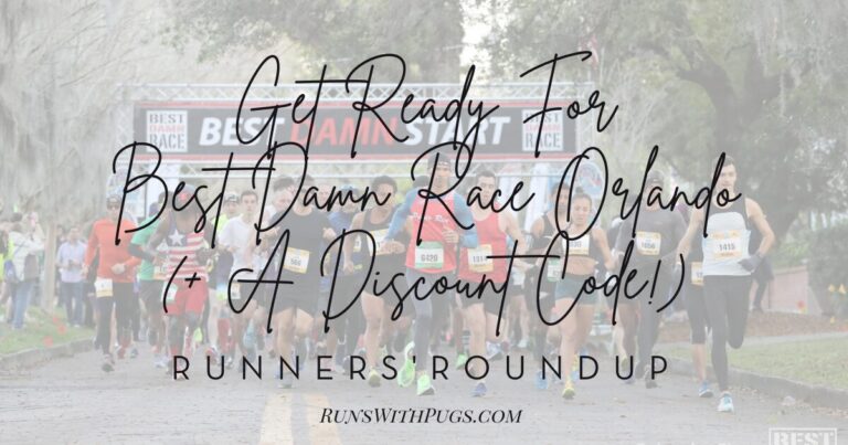 Runs With Pugs | ok, the pugs don't run, but we do