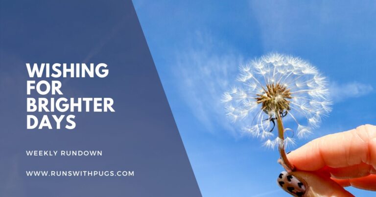 Wishing For Brighter Days | Runs With Pugs